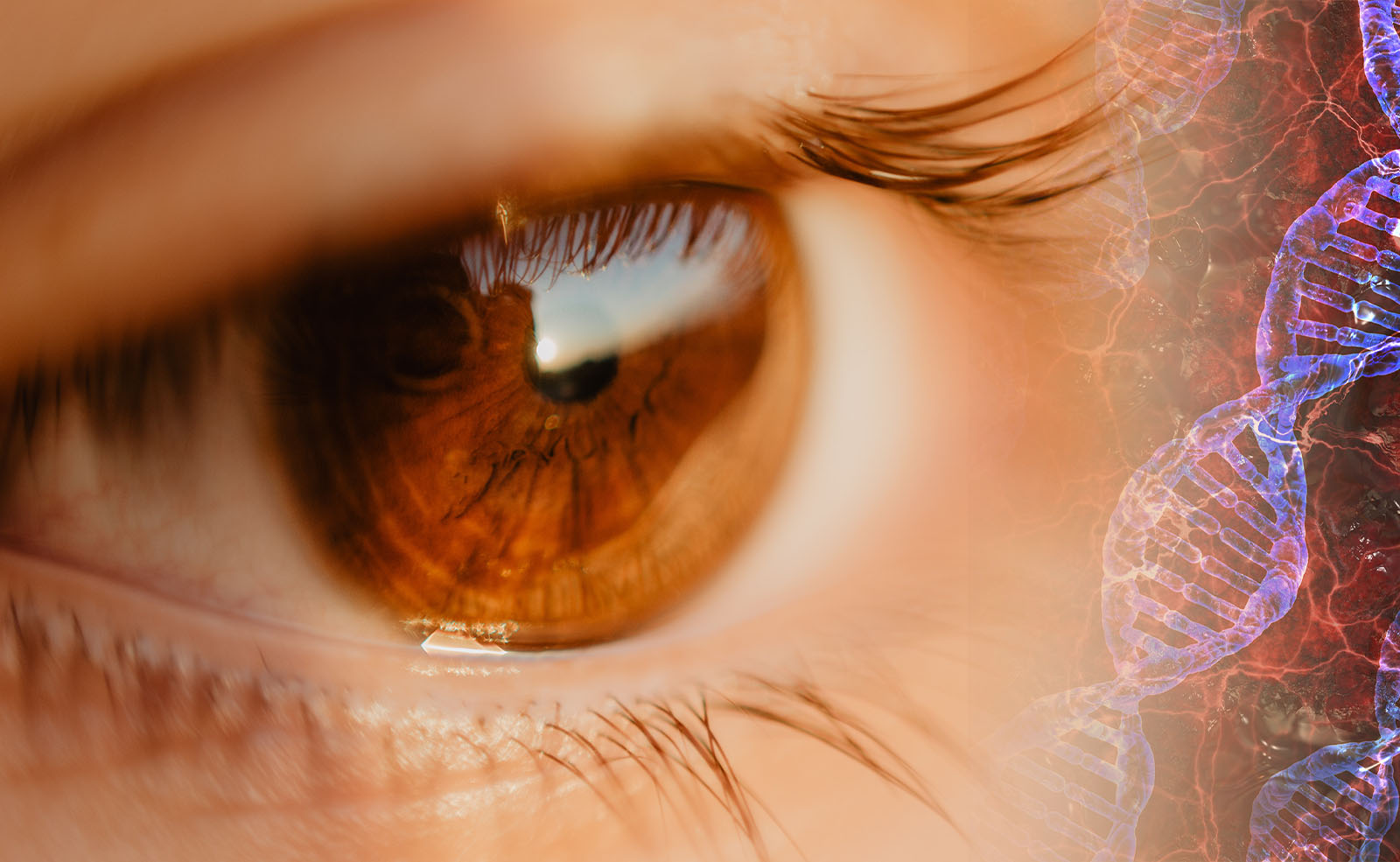 Científicos logran modificar el ADN de la retina por primera vez para ...