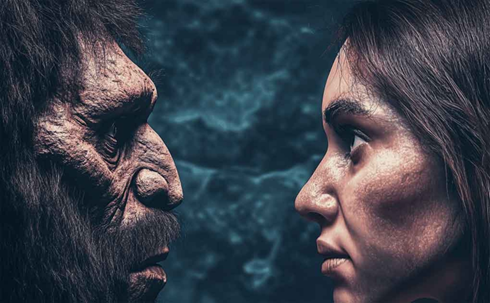 Hubo intercambio genético entre Neandertales y Humanos durante 7.000 ...